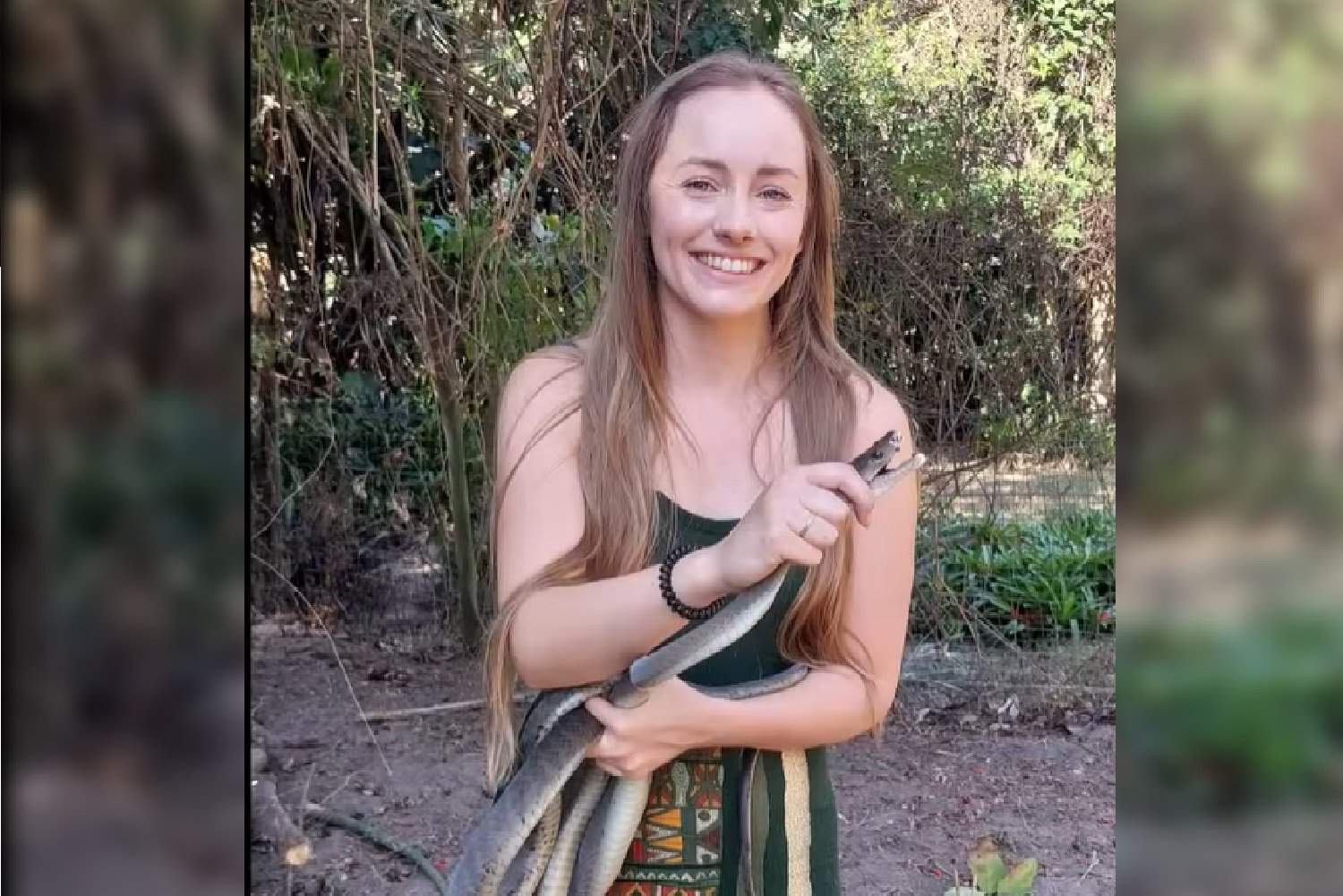 WATCH | Male black mamba follows female mamba's scent into same garden ...
