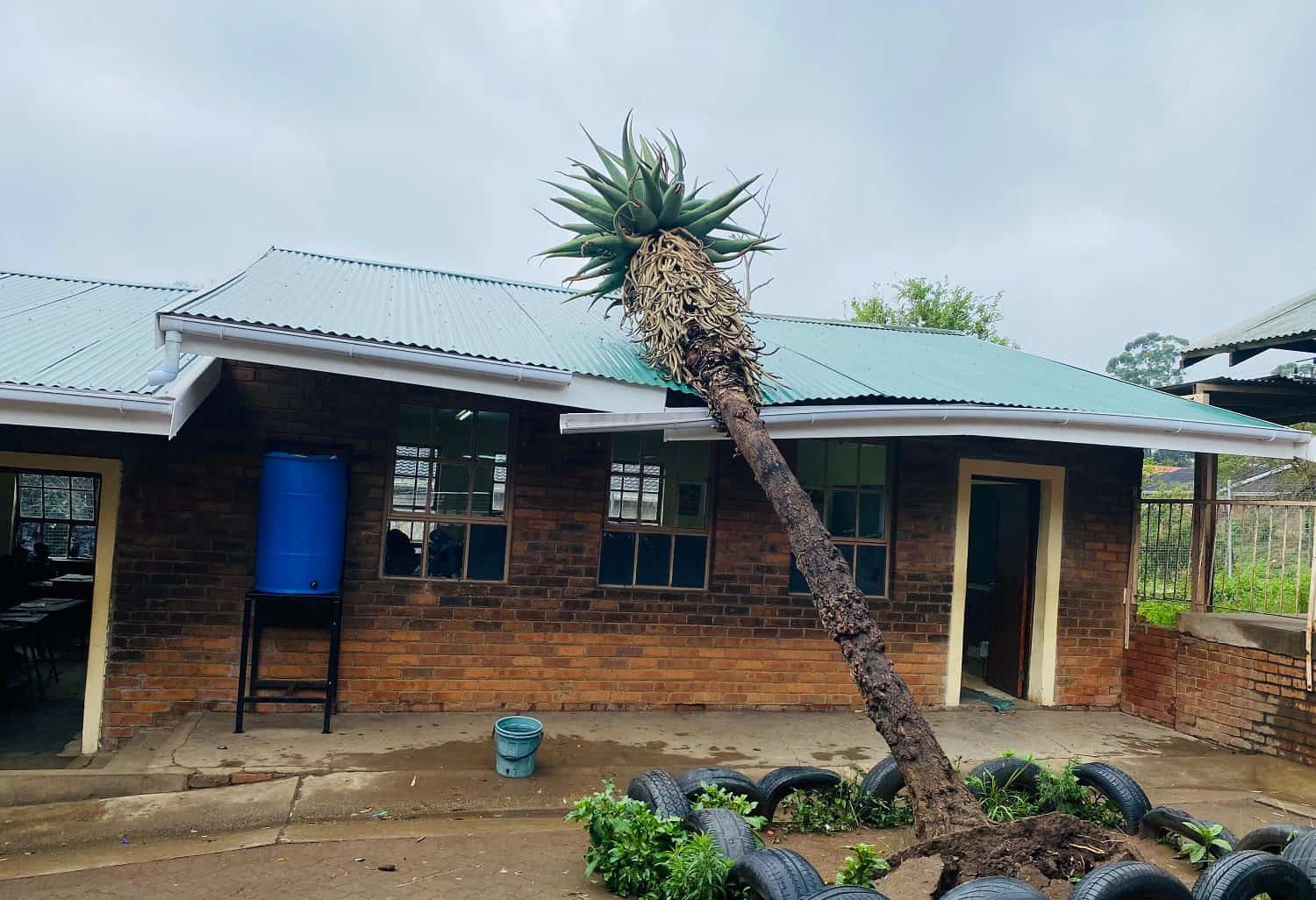WATCH | Heavy rains, strong winds wreak havoc in Edendale, KZN | The ...