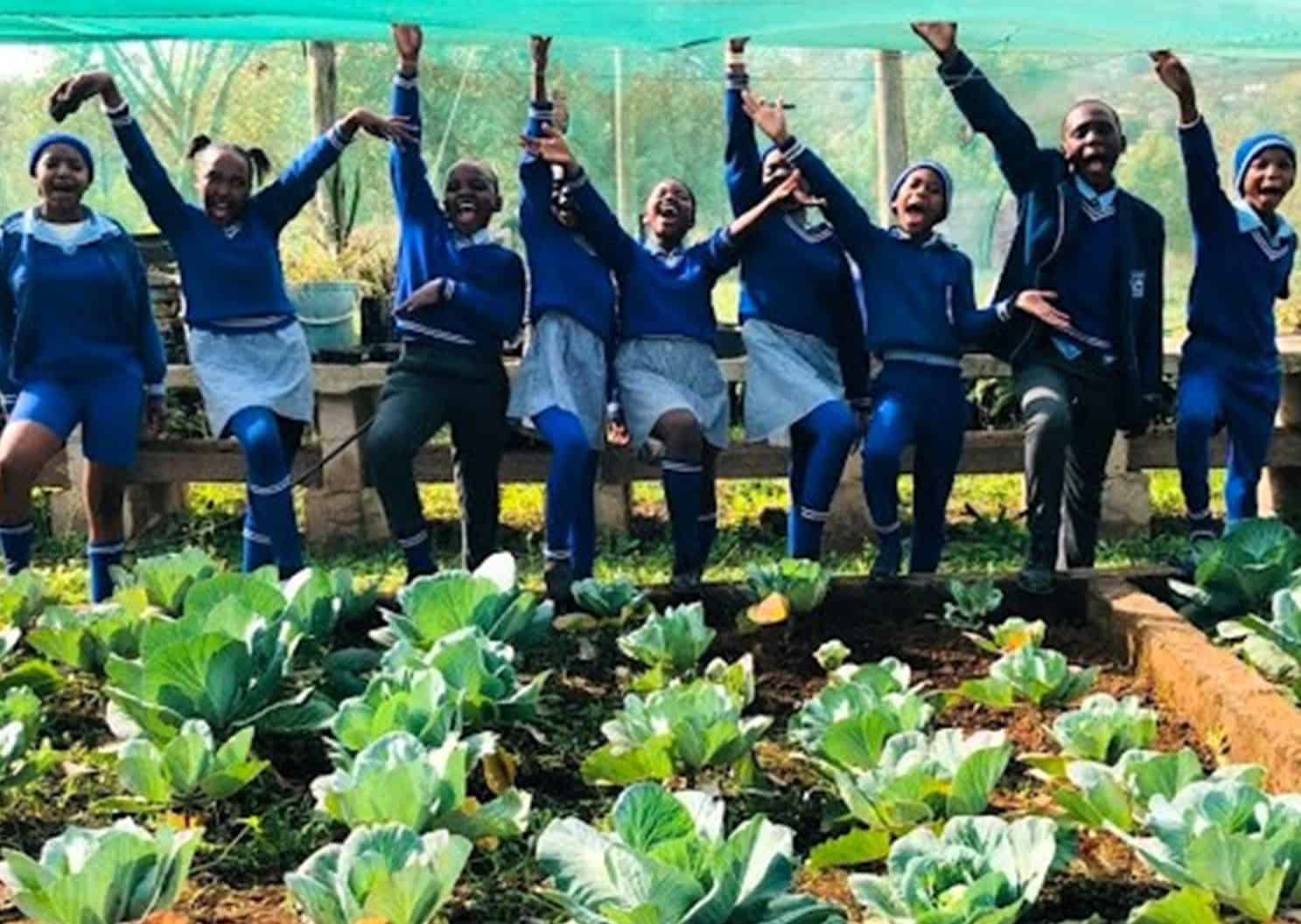 Three PMB schools make it to finals in National EduPlant School ...