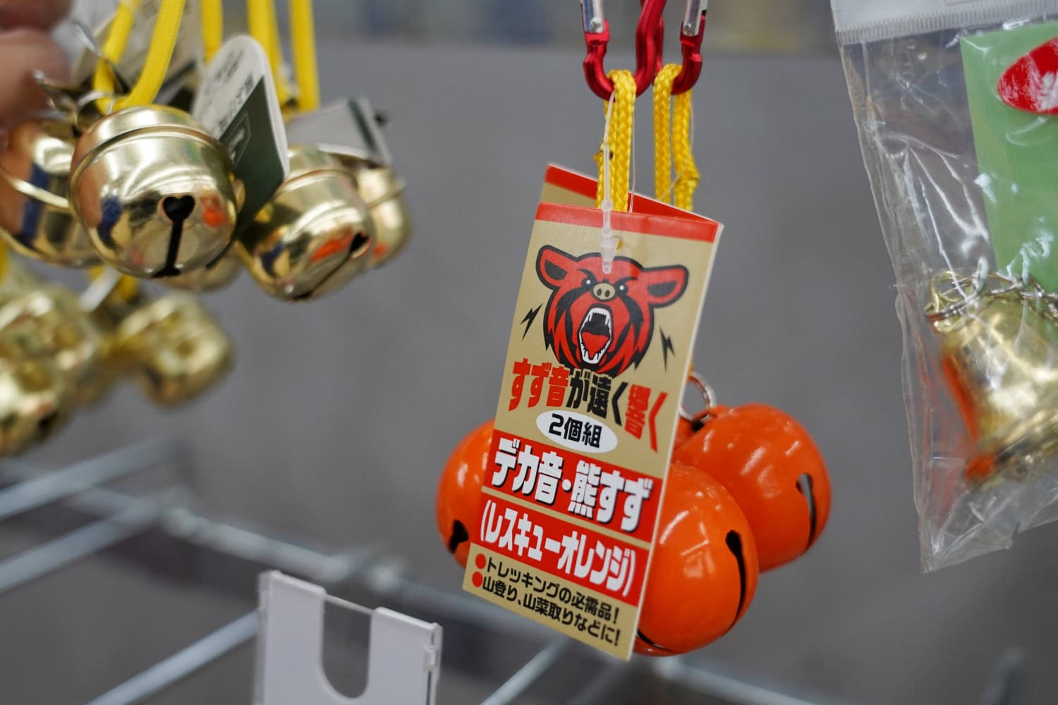 'Almost every day': Japan battles spike in bear attacks | The Witness