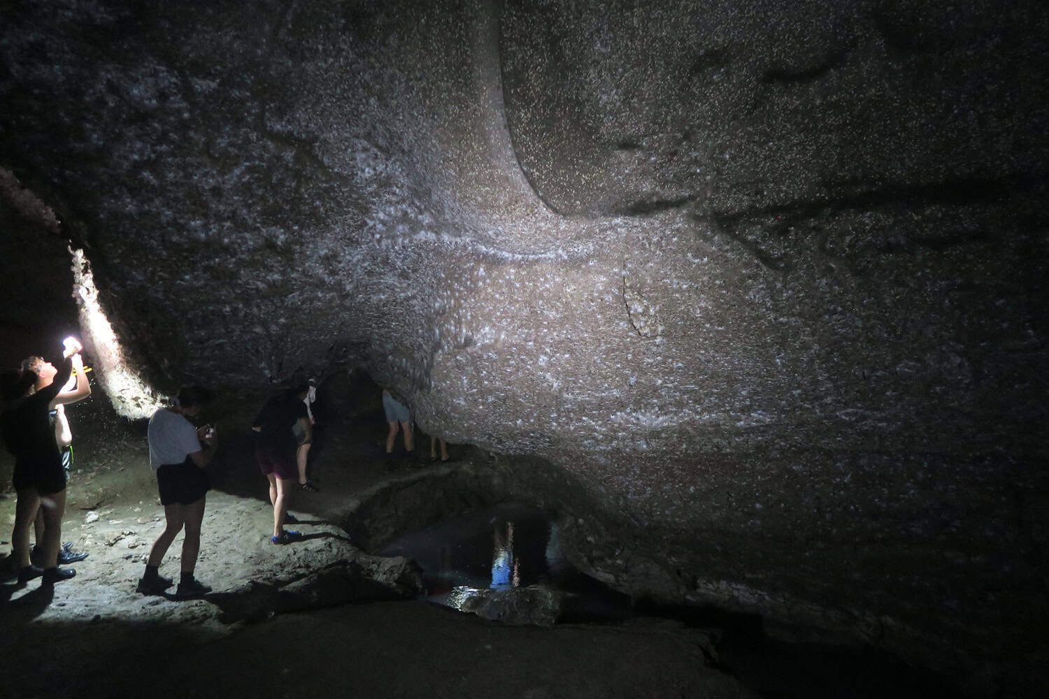 WATCH | Giant spider web found in Greek-Albanian border cave | The Witness