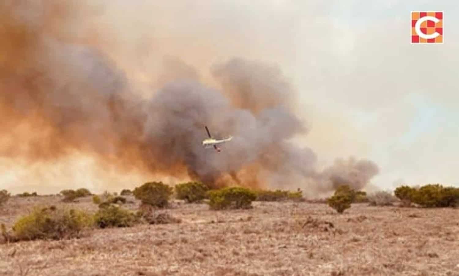 Western Cape seeks disaster status as drought and fires intensify ...