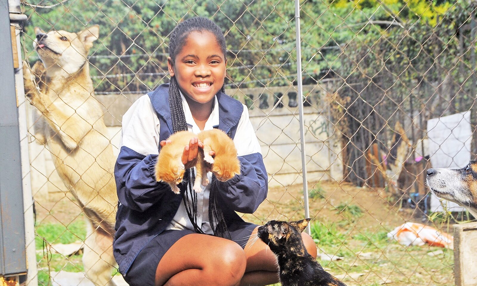 SPCA sounds the alarm over high number of missing pets | The Witness