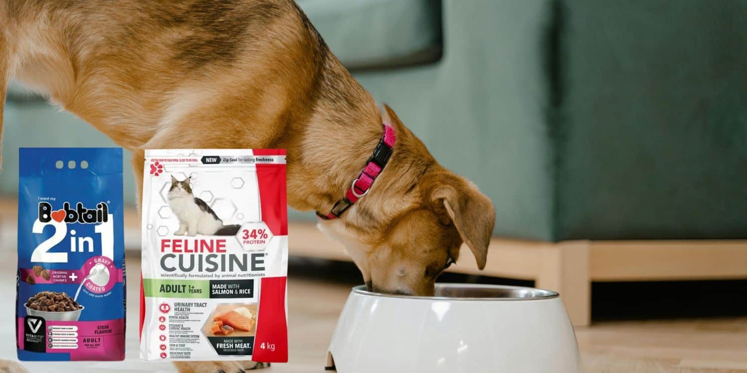 Nationwide recall issued for several pet food brands | The Witness