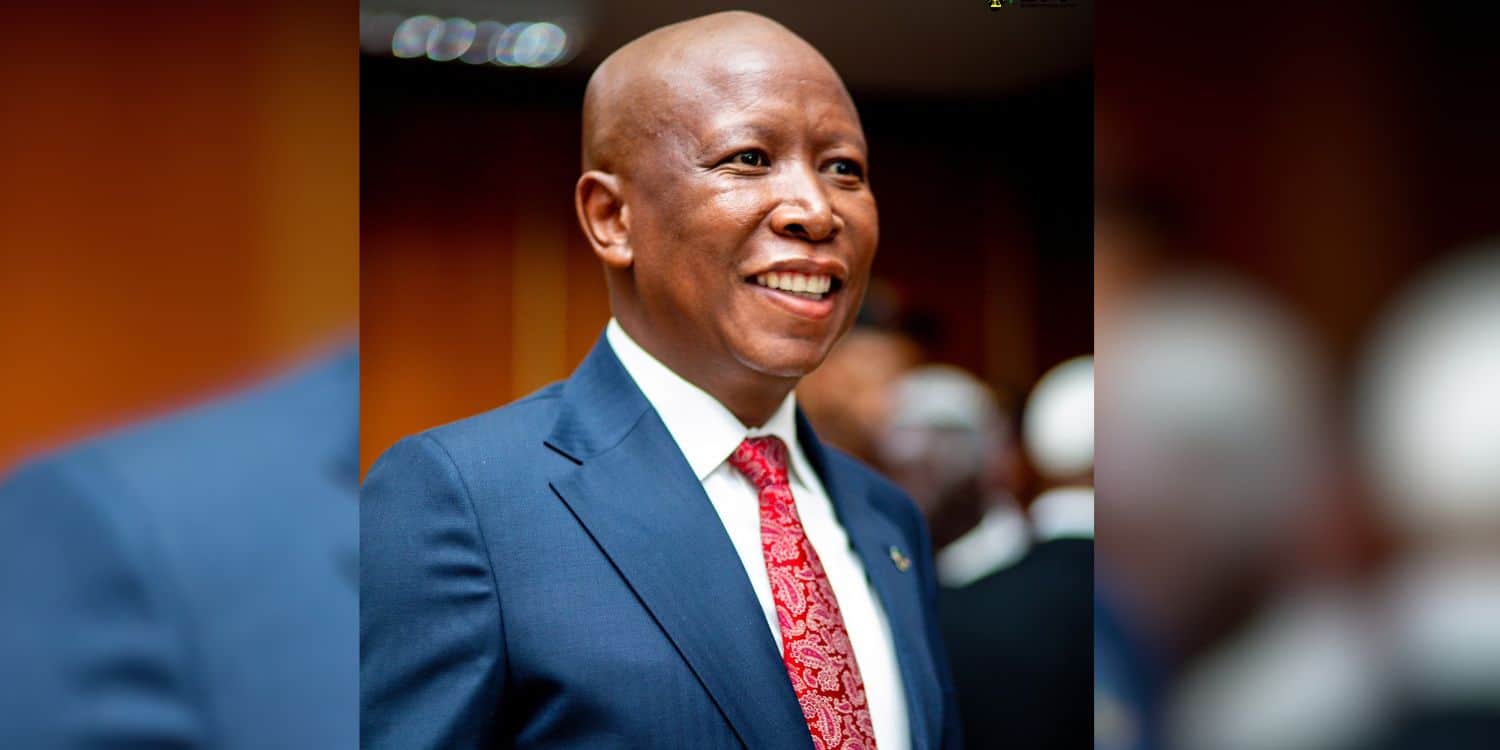 Malema sentenced to 5 years in prison for Mdantsane gun incident | The ...